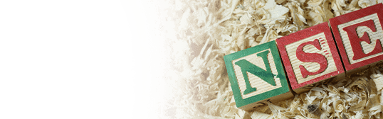 What is NSE: National Stock Exchange Investor Guide | HDFC Bank