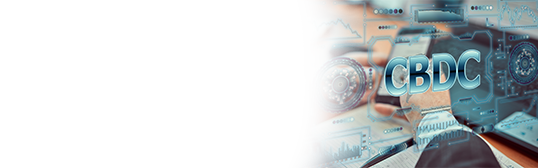 How to Use Digital Rupee Online in India | HDFC Bank