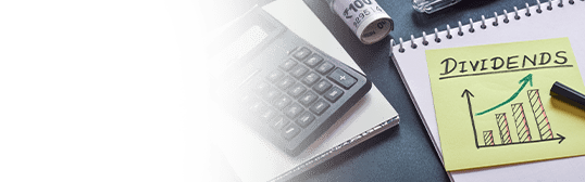 Dividend Stocks: Meaning, Types & Impact | HDFC Bank