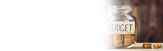 What Are The Three Types of Budgets | HDFC Bank